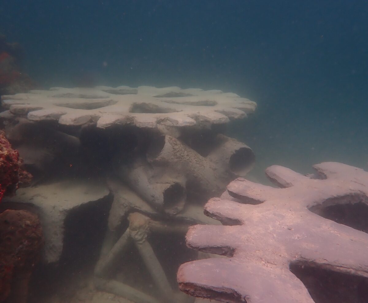 Rotaryreefs